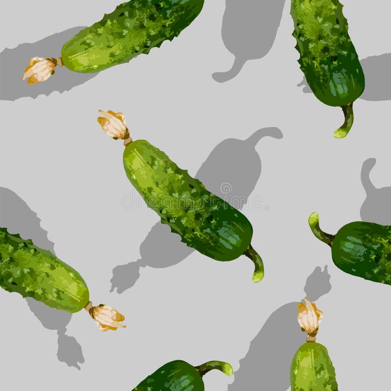 Seamless Pattern from Small Cucumber. Vector Stock Illustration Eps10 ...