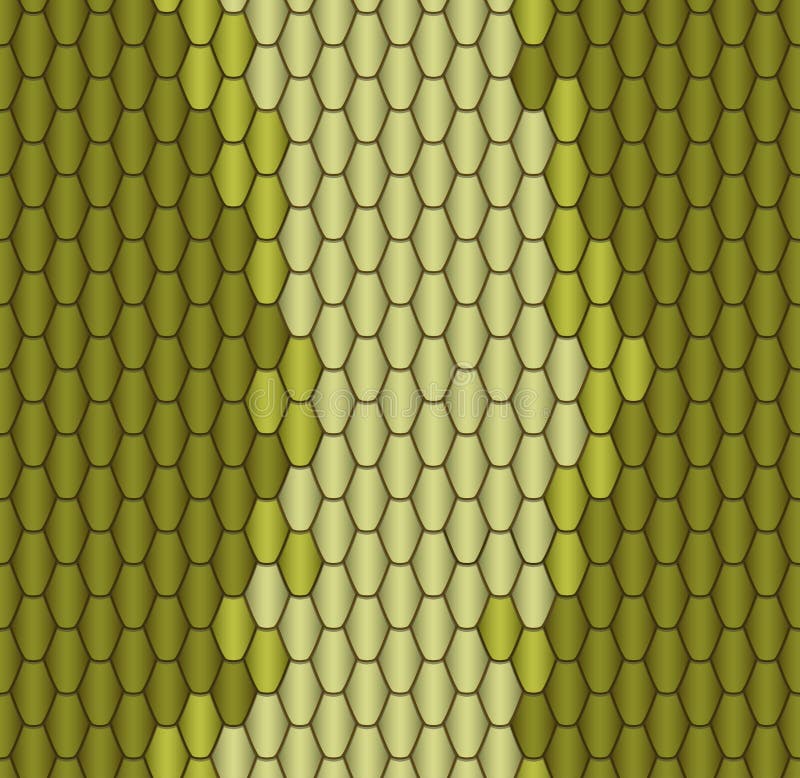 Seamless Pattern of Snake Skin Stock Illustration - Illustration of ...