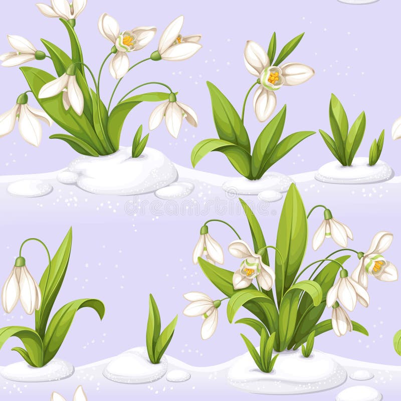 Snowdrop Border Stock Illustrations – 766 Snowdrop Border Stock ...