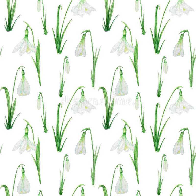 Seamless Pattern with Snowdrop Spring Easter Flowers with Green Leafs ...