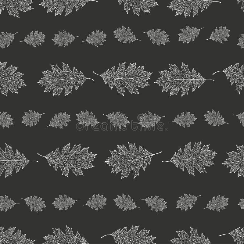 Quercus Rubra (Four Seasons) Stock Illustration - Illustration of green ...