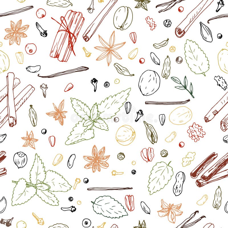 Allspice Ink Drawing Stock Illustrations – 56 Allspice Ink Drawing ...