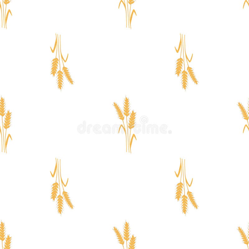 Seamless Pattern with Spikelets and Grains of Wheat on White Background ...