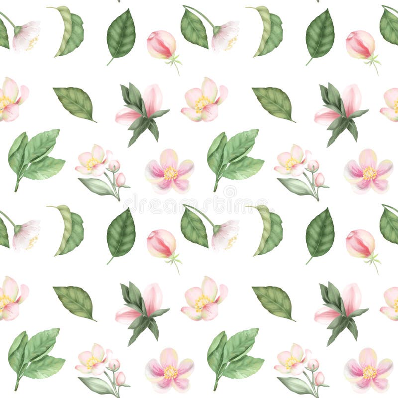 Seamless Pattern of Spring Apple Tree Flowers and Leaves Stock ...