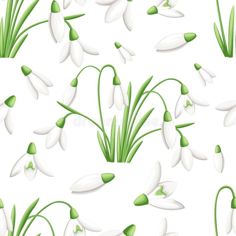 Seamless Pattern of Spring Flower. the First Snowdrops Galanthus ...