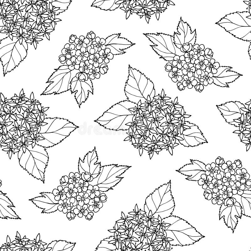 Outline Hydrangea Leaf Stock Illustrations – 882 Outline Hydrangea Leaf ...