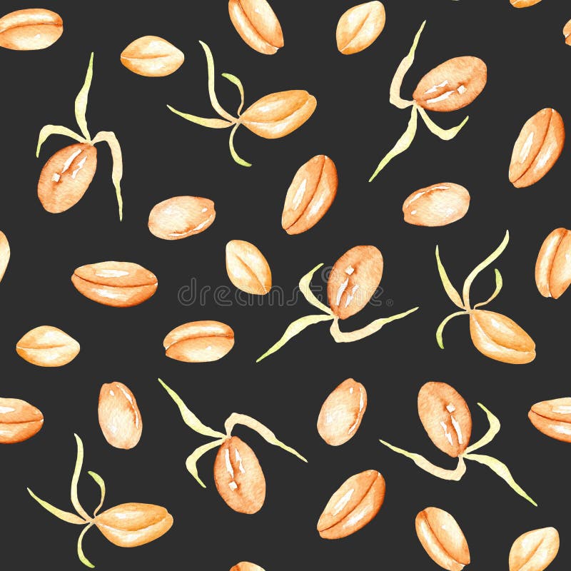 Seamless Pattern with Sprouted Wheat Grains Stock Illustration ...