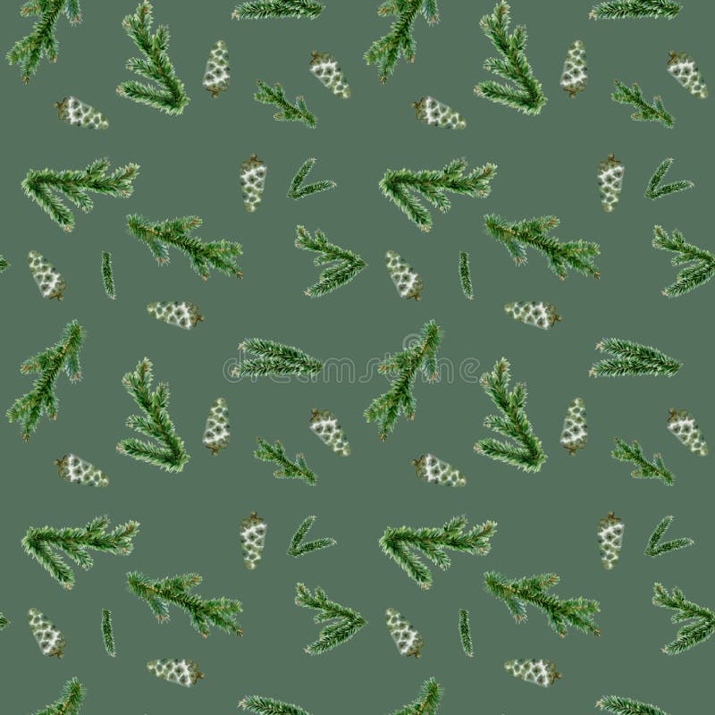 Seamless Pattern with Spruce Branches and Fir-cones. Isolated on Dark ...