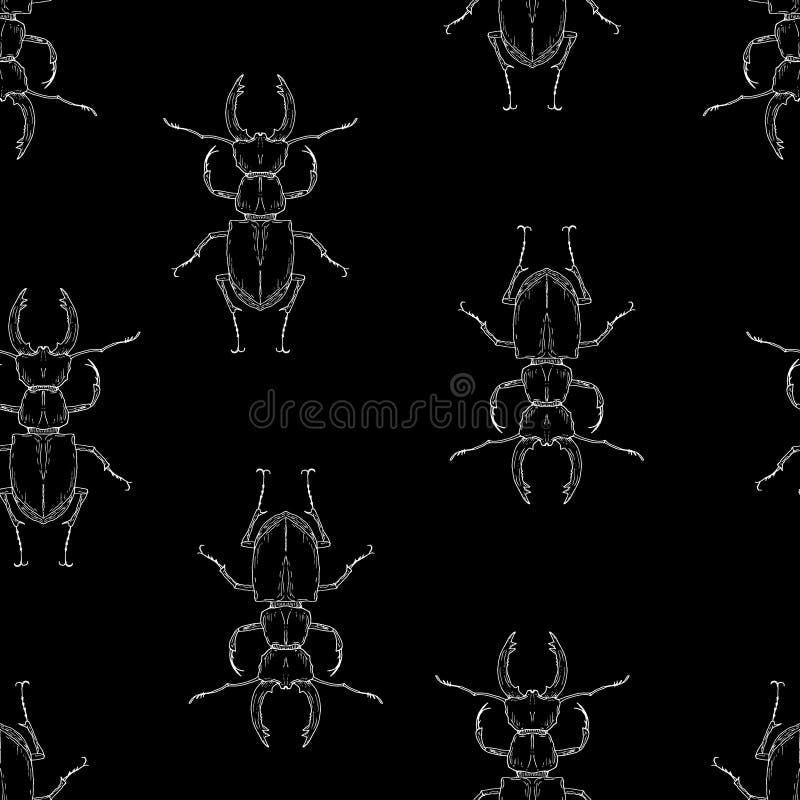 Seamless Pattern Of Stag Beetles. Vector Background. Hand-drawn Style ...