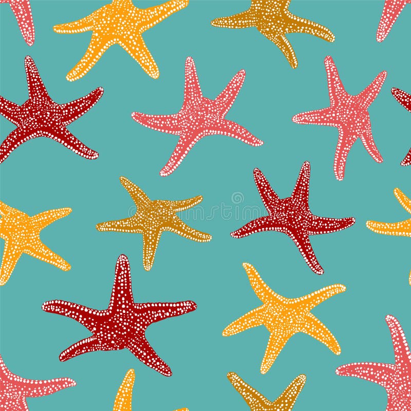 Vector Shape Set of Various Sea Starfish Stock Vector - Illustration of ...