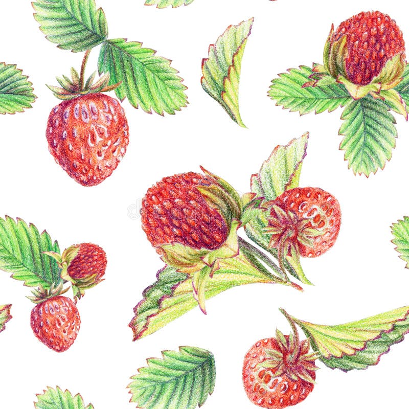 Seamless Pattern with Strawberries. Stock Illustration - Illustration ...