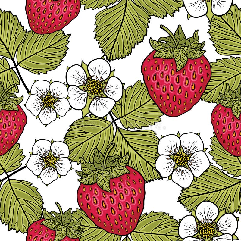 Seamless Pattern with Strawberries. Graphic Stylized Drawing Stock ...