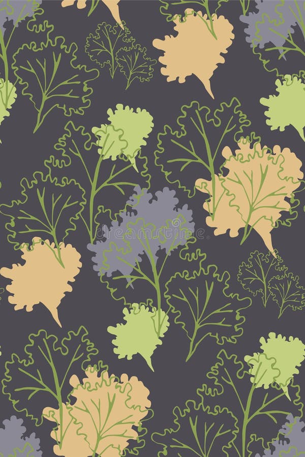 Set of Stylized Hand-drawn Leaves of Different Varieties of Lettuce ...