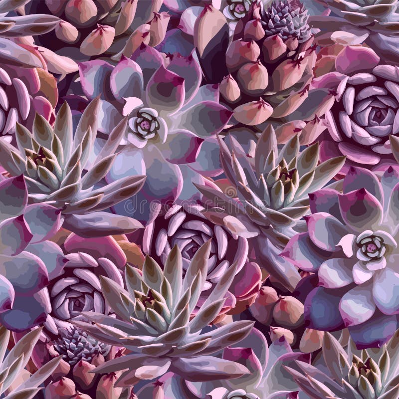 Seamless Pattern Succulents Set. Vector Stock Illustration Eps10. Stock ...