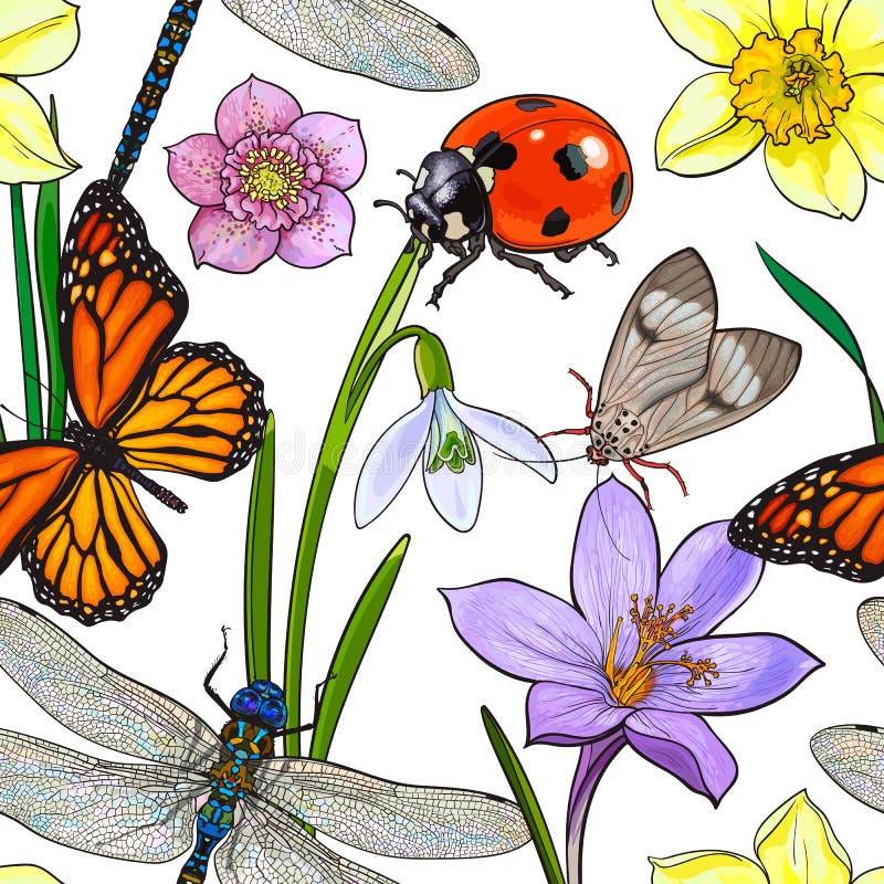 Seamless Pattern of Summer Insects and Flowers, Sketch Vector ...