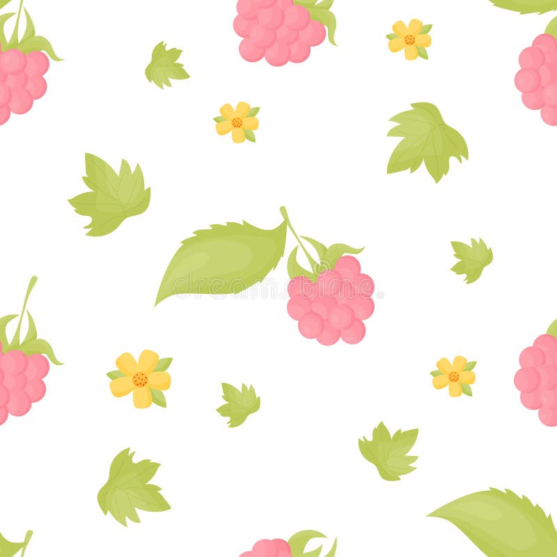 Seamless Pattern with Summer Raspberries with Leaves on White ...