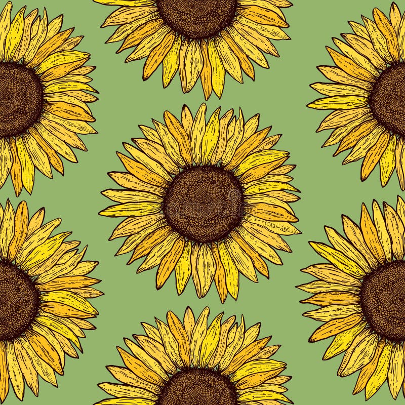 Seamless Pattern with Sunflowers Stock Vector - Illustration of vector ...