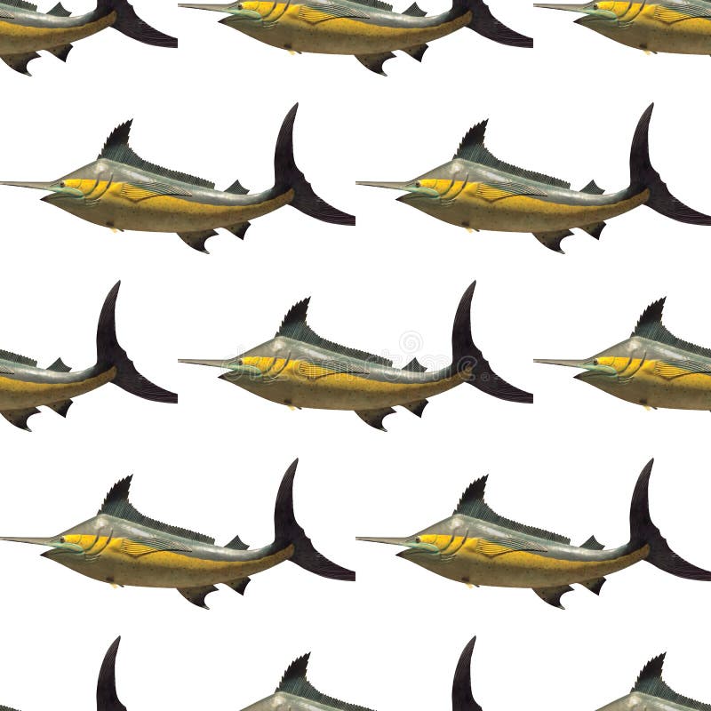 Seamless Pattern of Sword Fish Isolated on White Background Stock Photo ...