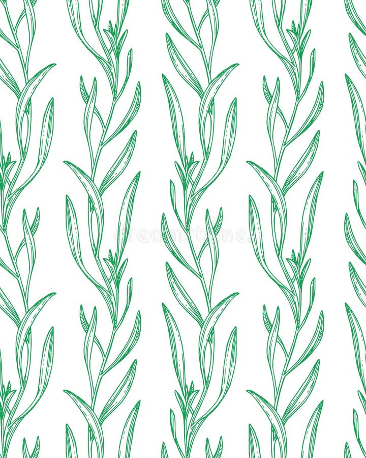Tarragon Pattern Stock Illustrations – 252 Tarragon Pattern Stock ...