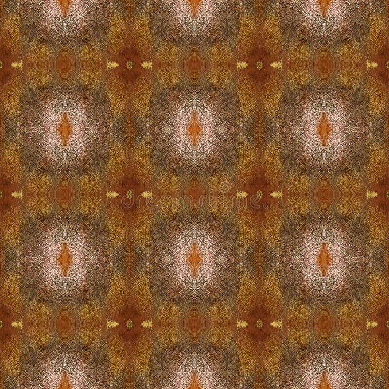 Pattern Texture of Atlas Silk Butterfly Wing for Background Stock Photo ...