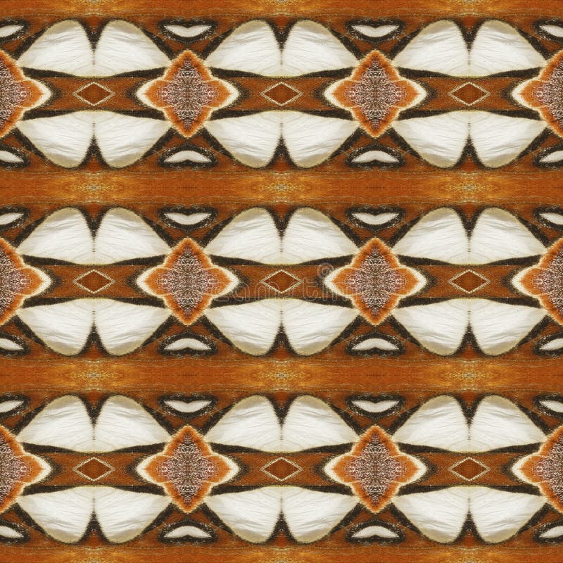Pattern Texture of Atlas Silk Butterfly Wing for Background Stock Image ...