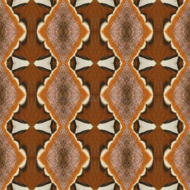 Pattern Texture of Atlas Silk Butterfly Wing for Background Stock Photo ...
