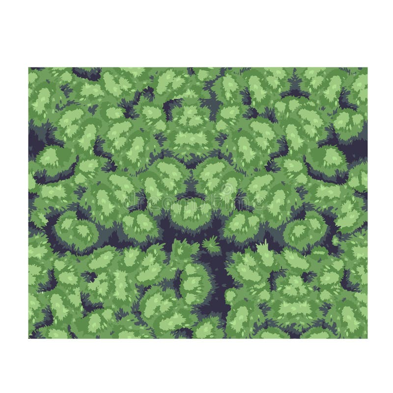 Seamless Pattern Texture of Bush, Grass Vector Stock Vector ...