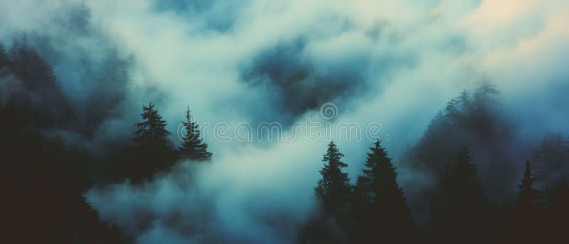 Seamless Pattern Texture of Morning Mist Draping Over Ethereal Forest ...