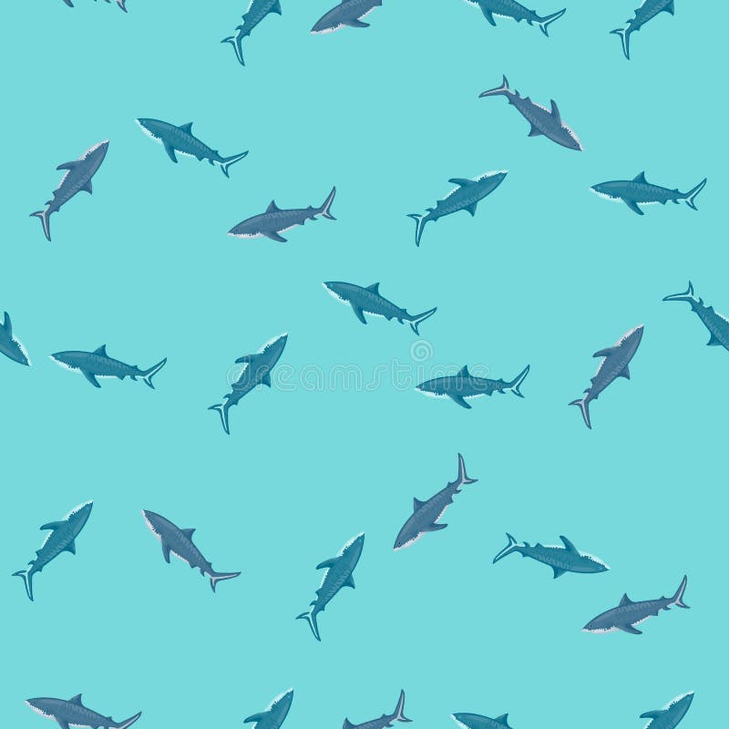Tiger Shark Texture Stock Illustrations – 72 Tiger Shark Texture Stock ...