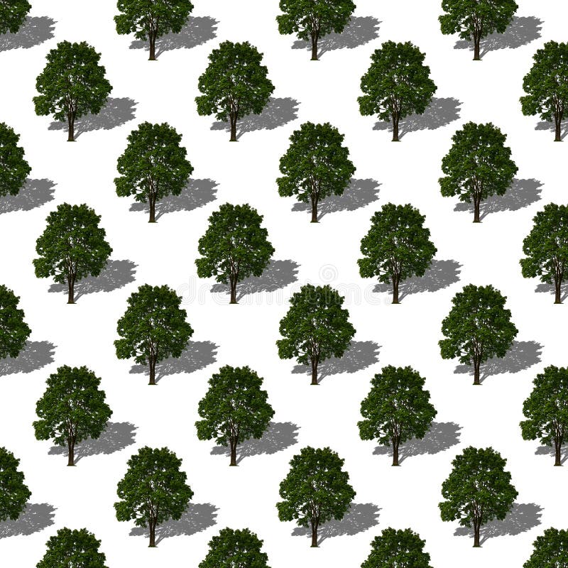 Seamless Pattern of Trees with Shade Isolated on a White Background ...