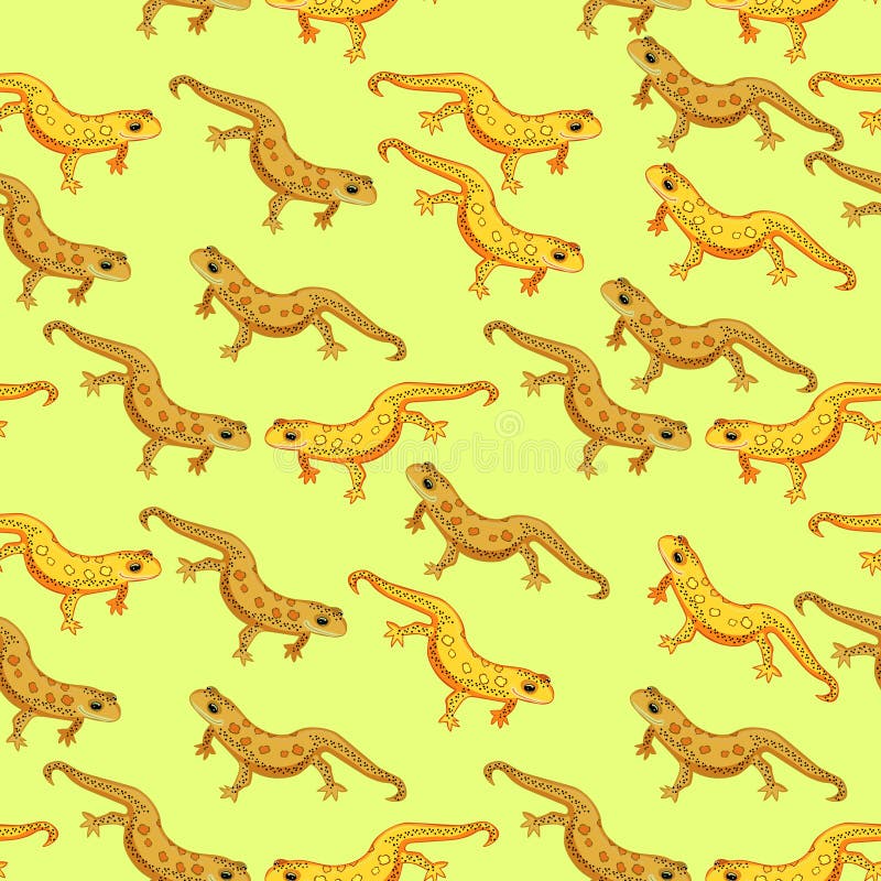 Seamless Pattern Triton East American Red Spotted Salamanders Stock ...