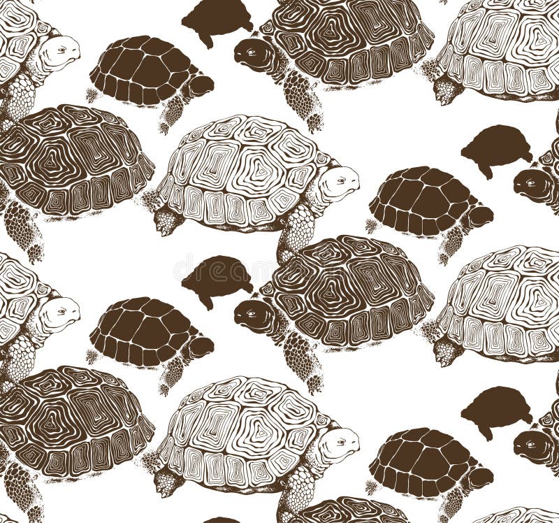 Seamless pattern of turtle stock vector. Illustration of wildlife ...