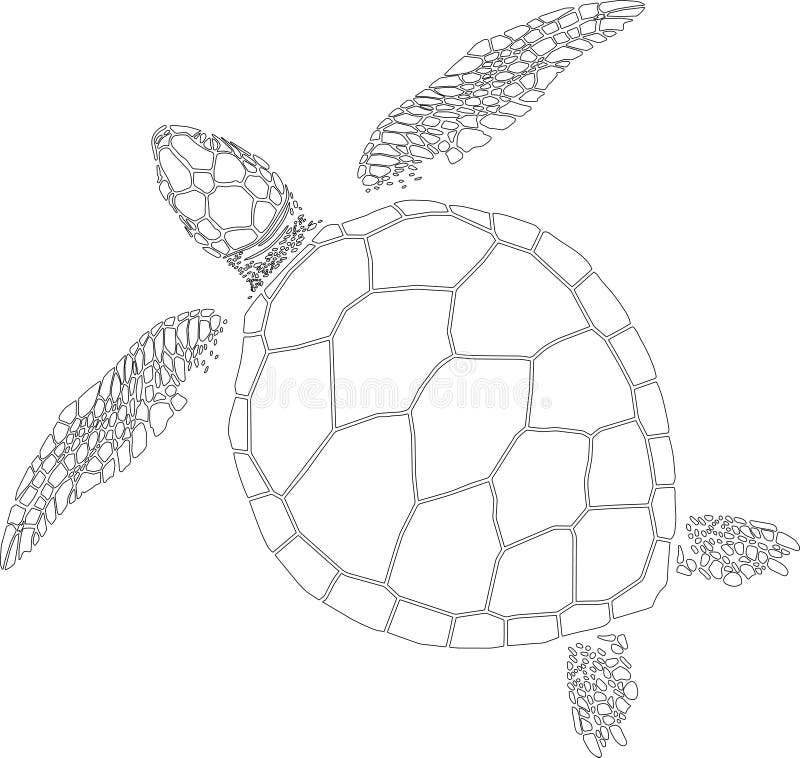 Contour of a Sea Turtle on the Isolated White Background Stock Vector ...