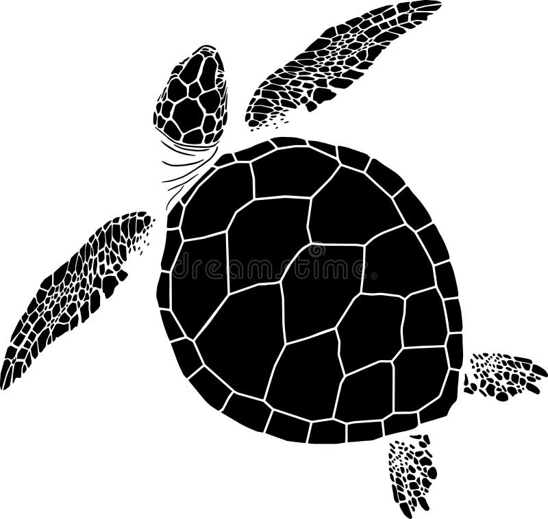 Contour of a Sea Turtle on the Isolated White Background Stock Vector ...