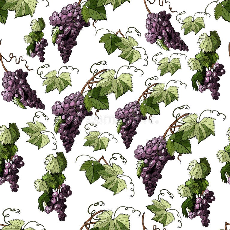 Grape Leaves Pattern Stock Illustrations – 6,255 Grape Leaves Pattern ...