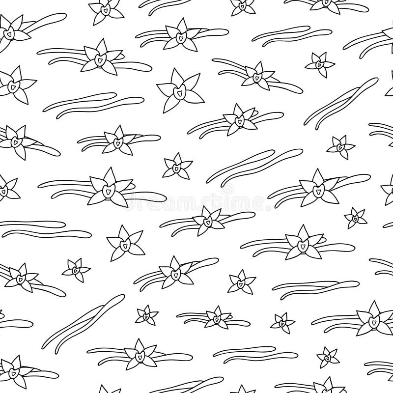 Seamless Pattern with Vanilla. Stock Vector - Illustration of sweet ...