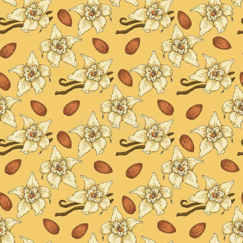 Seamless Pattern with Vanilla Flower Stock Illustration - Illustration ...