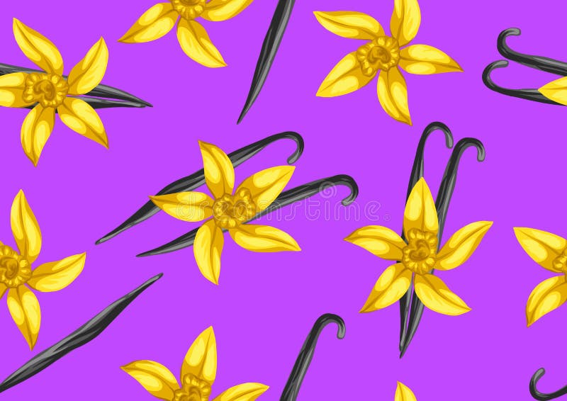 Vanilla Flower Seamless Pattern Stock Illustrations – 1,333 Vanilla ...