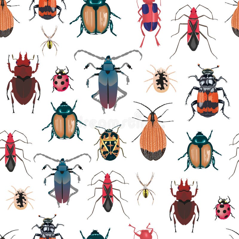 Diverse Beetles Stock Illustrations – 25 Diverse Beetles Stock ...