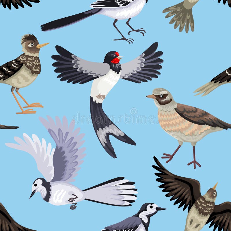 Seamless Pattern from Various Migratory Birds. Feathered Animals. Stock ...