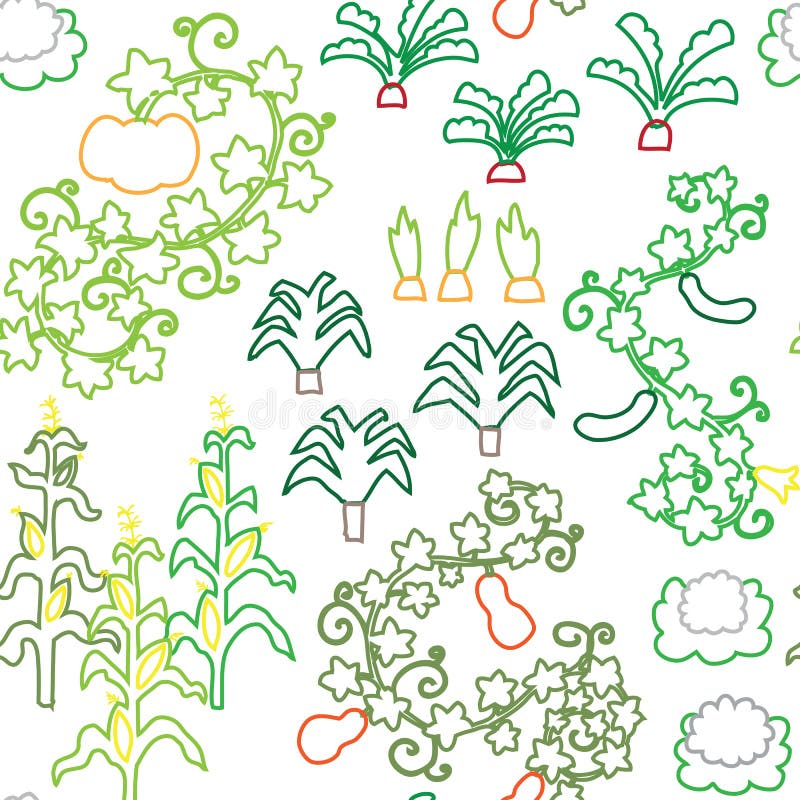 Seamless Vegetable Garden Pattern Stock Vector - Illustration of ...