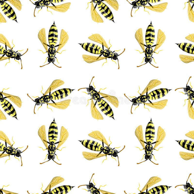 Seamless Pattern with Vasp on White Background. Vector Illustration in ...