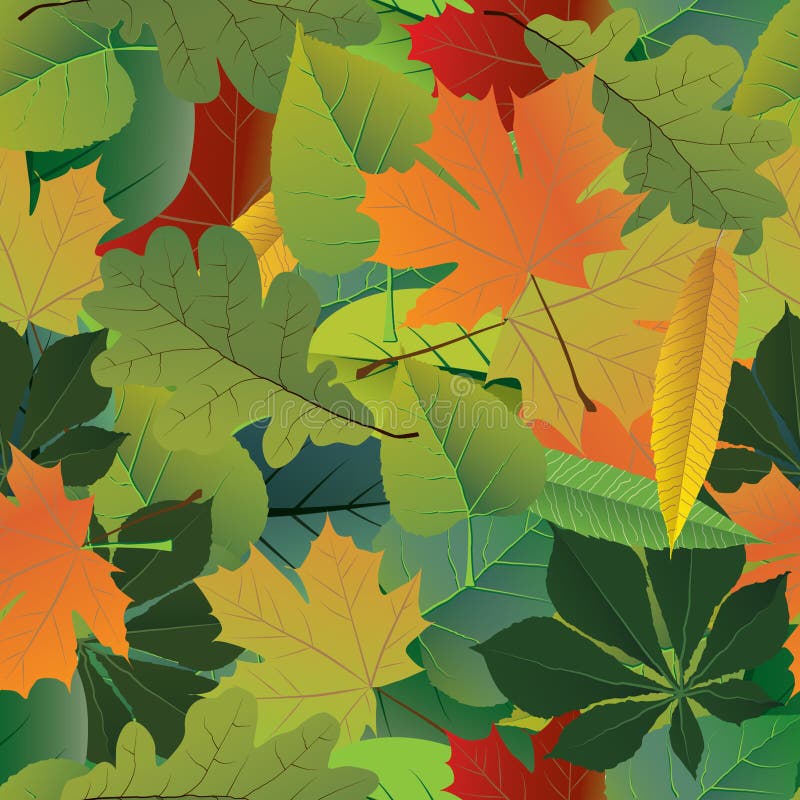 Seamless Pattern. Vector of Autumn Colorful Leaves Stock Vector ...