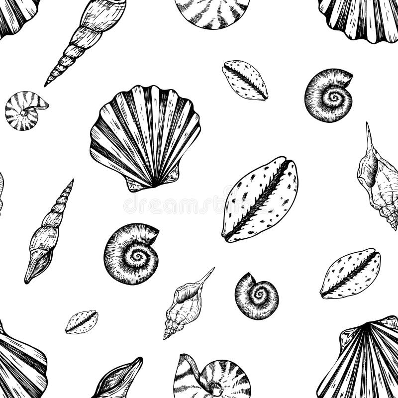 Seamless Pattern with Vector Beautiful Shells. Hand Painted Line ...