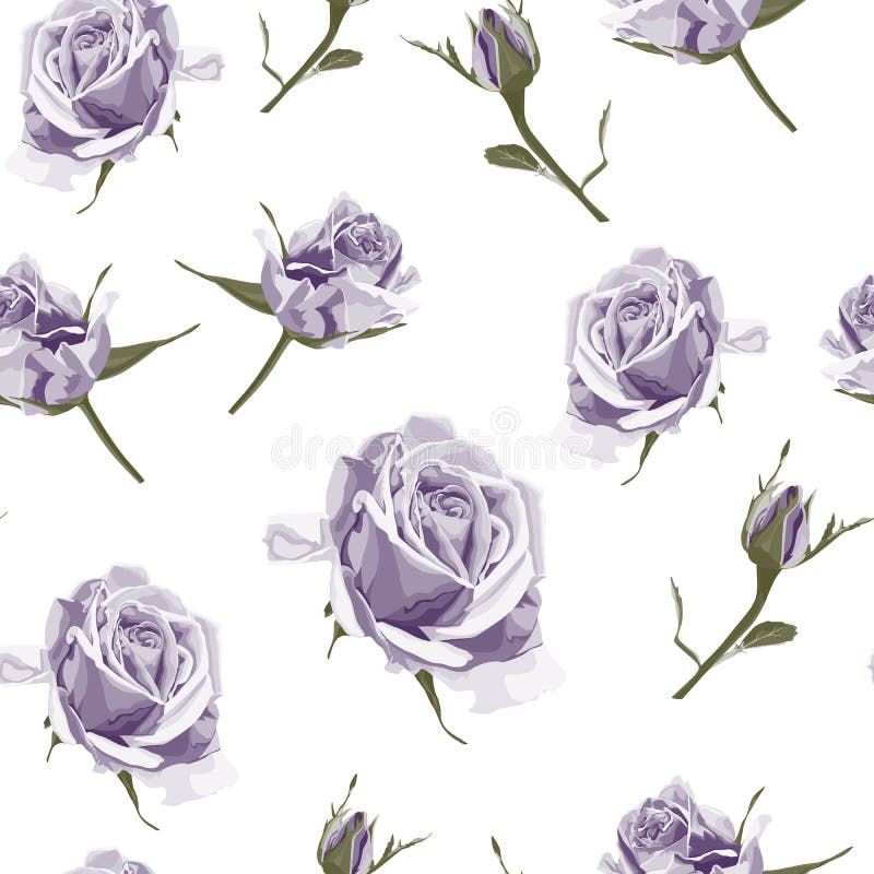 Seamless Pattern Vector Floral Watercolor Style Design, Violet Roses ...