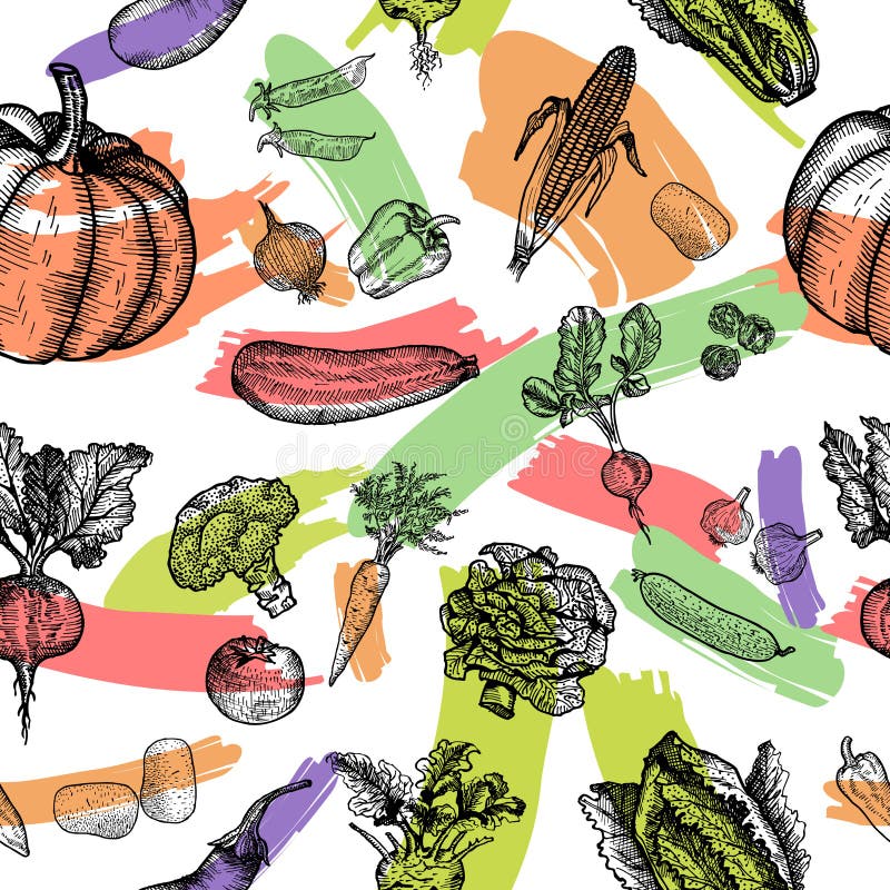 Seamless Pattern of Vegetable. Beautiful Hand Drawn Illustration ...