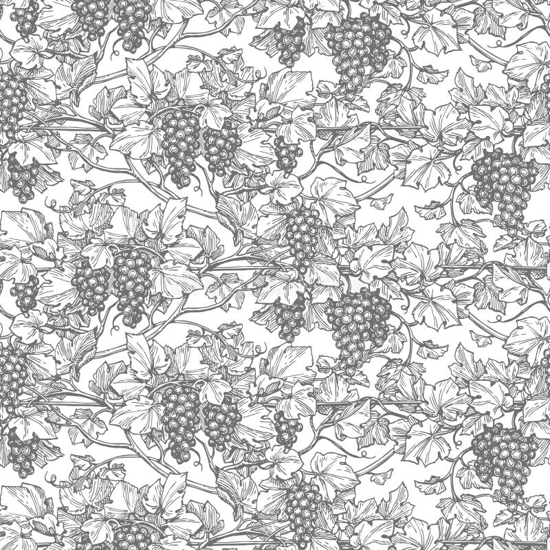 Vineyard Seamless Landscape. Stock Vector - Illustration of provence ...