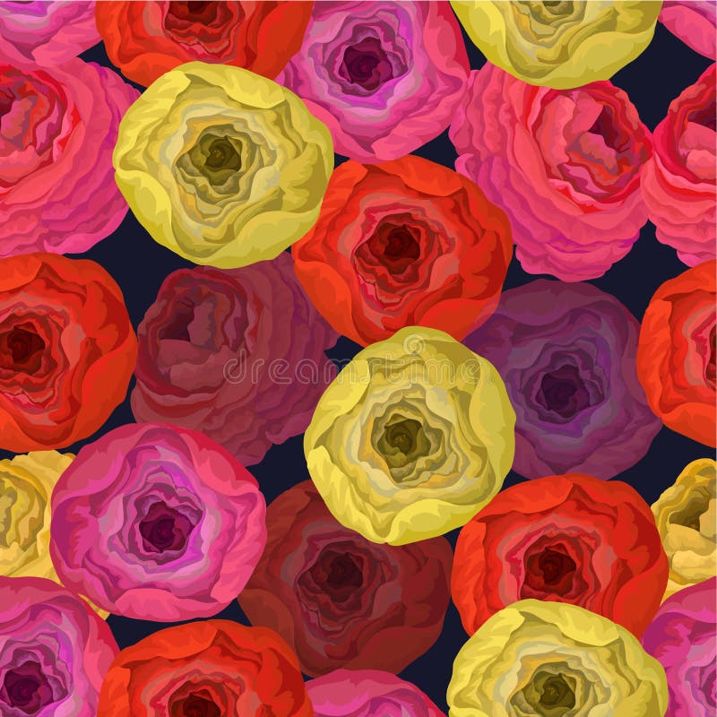 Seamless Pattern with Vivid Ranunculus. Vector. Stock Vector ...