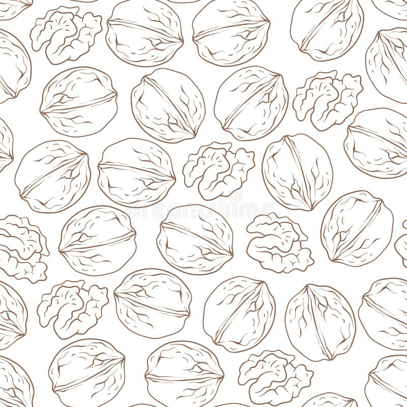 Seamless Pattern with Walnut, Line Art, Vector Hand-drawn Illustration ...