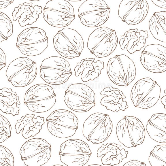 Seamless Pattern with Walnut, Line Art, Vector Hand-drawn Illustration ...